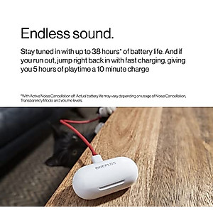 OnePlus Buds Z2 True Wireless Earbud Headphones-Touch Control with Charging Case,Active Noise Cancellation,IP55 Waterproof Stereo Earphones for Home,Sport, Obsidian Black
