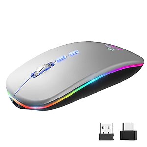 HOTLIFE LED Wireless Mouse, Slim Rechargeable Silent Bluetooth Mouse, Portable USB Optical 2.4G Wireless Bluetooth Two Mode Computer Mice with USB Receiver and Type C Adapter(Silver)