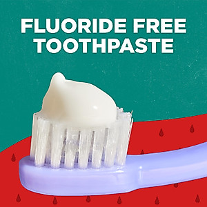 Tom's of Maine Fluoride Free Children's Toothpaste, Natural Toothpaste, Dye Free, No Artificial Preservatives, Silly Strawberry, 5.1 Ounce (Pack of 3) (Packaging May Vary)