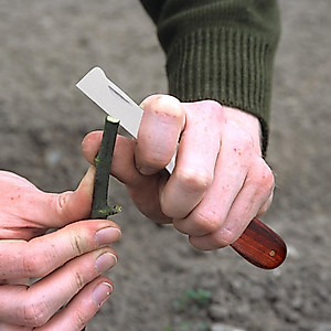 BUMUR Single Bevel Grafting Knife with Grafting Tapes for fruit trees,1 Left Handed 1 Right Handed Professional Gardening Grafting Tool Kit, Rosewood