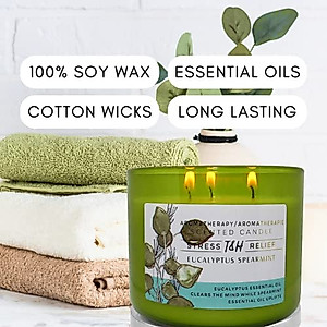 Stress Relief Aromatherapy Candles Eucalyptus Spearmint Scented Candle | 15.8 oz Soy Candles for Home | Decorative Candles Long Lasting 3 Wick Candle
