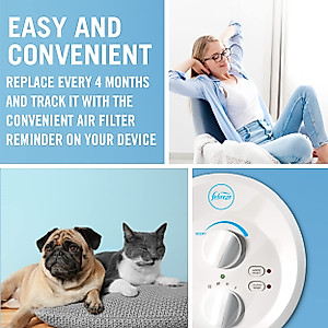 Febreze Replacement Dual Action HEPA-Type Air Purifier Filter, U Filter, 1-Pack, FRF101B