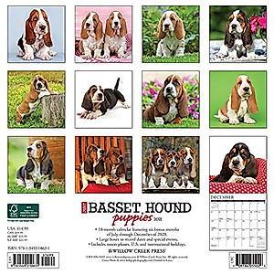 Just Basset Hound Puppies 2021 Wall Calendar (Dog Breed Calendar)