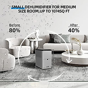 20 Pint Portable Dehumidifiers with Drain Hose and Handle for Home, Bathroom, Bedroom, Basement 1074 sq. Ft