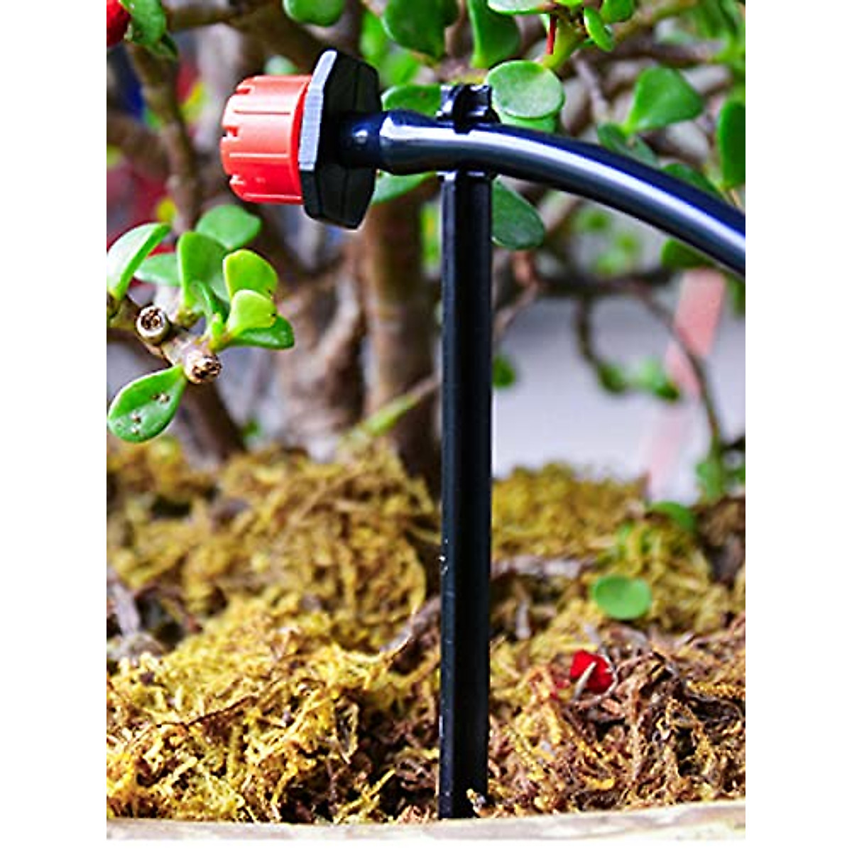 Kalolary 150PCS Drip Irrigation Kit Accessories Plant Watering System Adjustable Micro Flow Drip Irrigation Dripper DIY Automatic Irrigation Set for Gardens, Lawns, Greenhouses