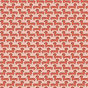 PBS Fabrics Best in Show by Bikini Sous la Pluie, Quilter's Cotton by The Yard, Dachshund, Orange 44" x 36"