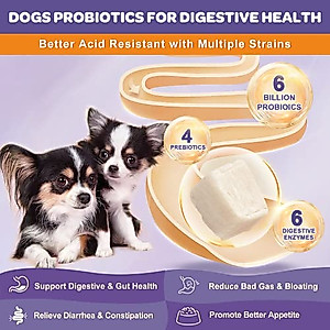Probiotics for Dogs, 6 Billion CFUs, Freeze Dried Dog Probiotics with Prebiotics and Digestive Enzymes, Vitamins and Omega 3, for Gut & Skin & Immune Health, Allergy Itch Relief, Reduce Diarrhea, Gas