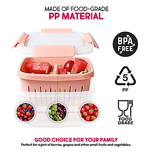 shopwithgreen 50oz Berry Keeper Container, Fruit Produce Saver Food Storage Containers with Removable Drain Colanders, Vegetable Fresh Keeper Set | Refrigerator Organizer