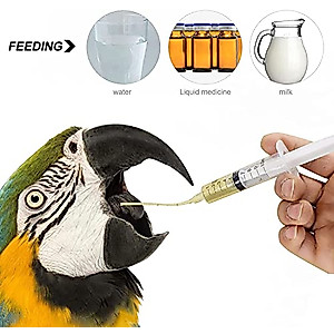 PDZZZD Bird Feeding Syringe Baby Bird Formula Feeding Tube