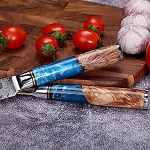 Dnifo Classic Paring Knife 3.5 Inch, Damascus Steel Japanese Knife - Sharp fruit knife for Peeling, Cutting, and Slicing - Non-stick Blade and Anti-rusting Forged Cutlery Knife