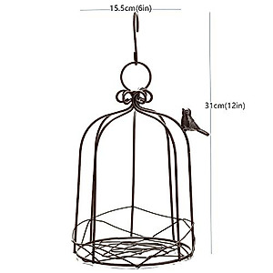 TJ Global Iron Birdcage Hanging Planter, Metal Wire Flower Pot Basket Wrought Iron Plant Stands for Plants, Flowers, Garden, Patio, Balcony Outdoor and Indoor Décor