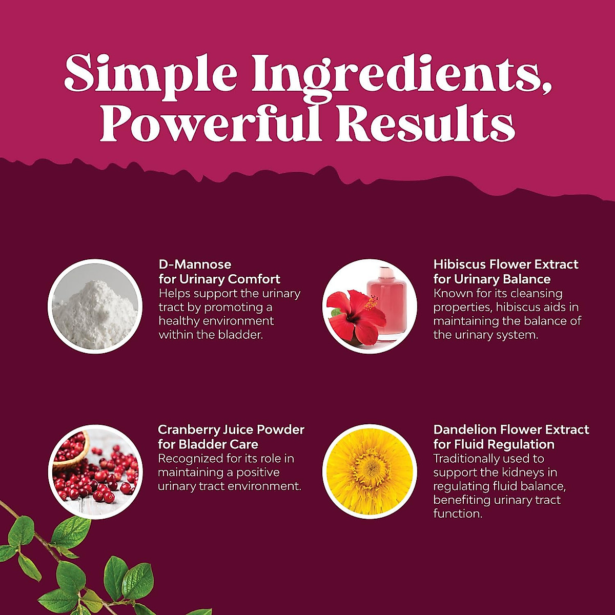 D Mannose Capsules for Urinary Tract Health - High Potency D-Mannose with Cranberry Juice Powder & Dandelion for Urinary Tract Health for Women Fast Acting Super Concentrated Cranberry - 90 Capsules