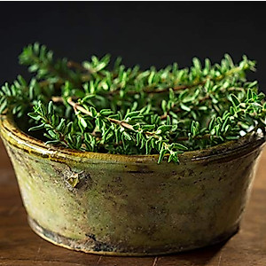 Gaea's Blessing Seeds - Thyme Seeds - Non-GMO - with Easy to Follow Planting Instructions - Herb Thymus Vulgaris 350mg 90% Germination