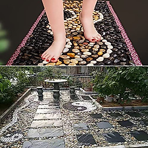 River Stones, Plants, Gardens, Landscapes, Succulents, Highly Polished Decorative Pebbles in Shapes and Sizes from 1-3 inches. (18LB, 1)