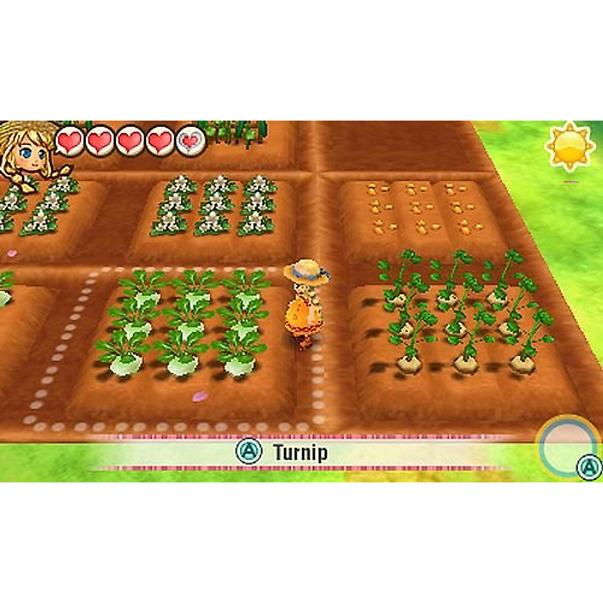 Story of Seasons: Trio of Towns - Nintendo 3DS