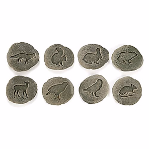 Yellow Door Let’s Investigate Woodland Footprints Double Sided Stones with Animal Tracks and Animal Picture, Create Fun Animal Games with Fossil Set, Stone, Set of 8, Toddler Toys for 3 Years & Up