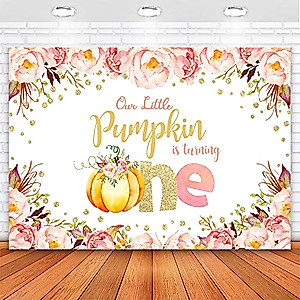 Avezano Pumpkin 1st Birthday Backdrop Floral Litttle Pumpkin First Birthday Background Fall Autumn Girl Pink and Gold Dots Pumpkin Birthday Background (8x6)
