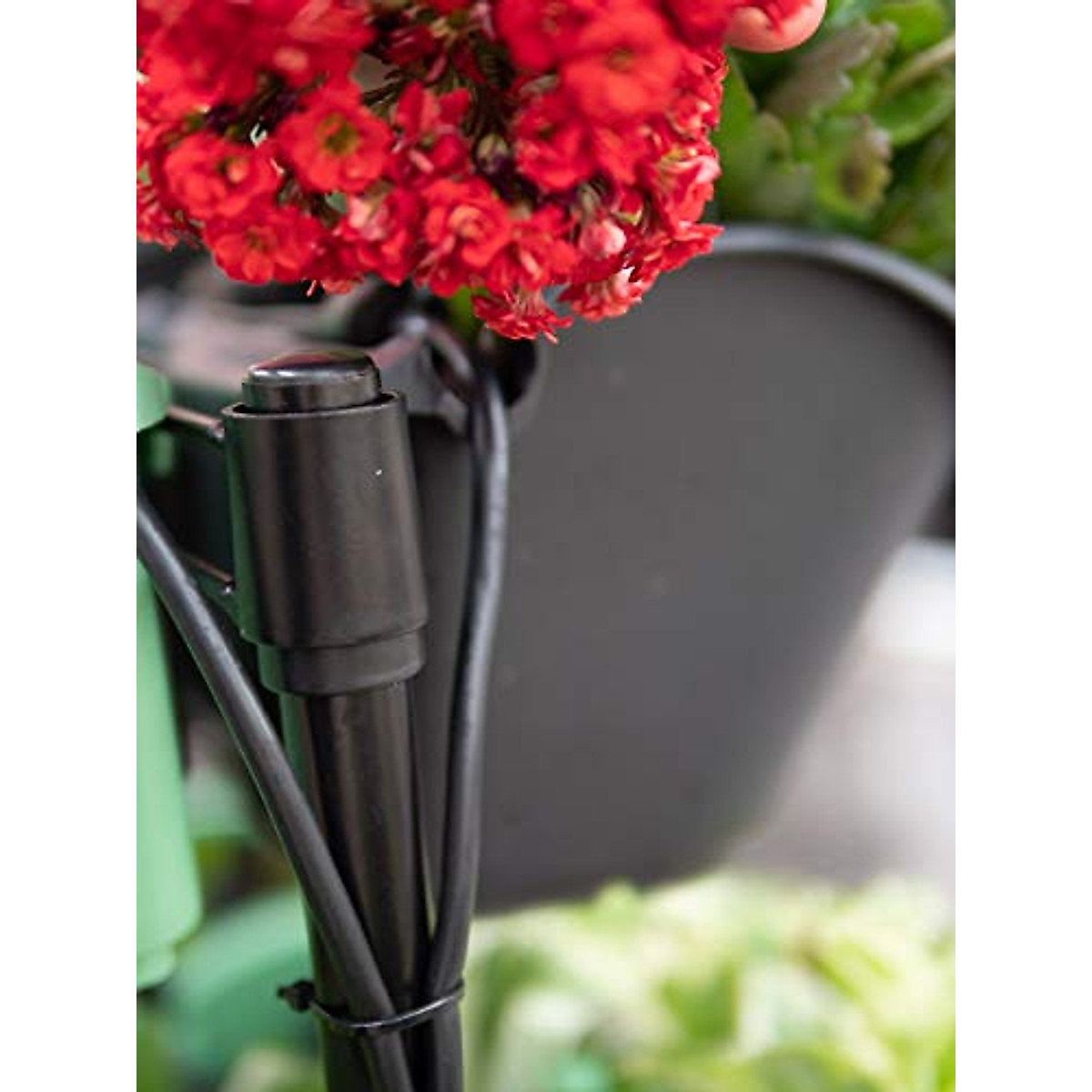 Watex Mobile Green Wall (Single Frame, Black), BPA Free Planters