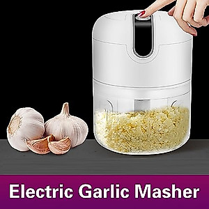 Multi Functional Cooking Electromechanical Meat Mince Machine Home Meat Grinder Garlic Rope (White, One Size)