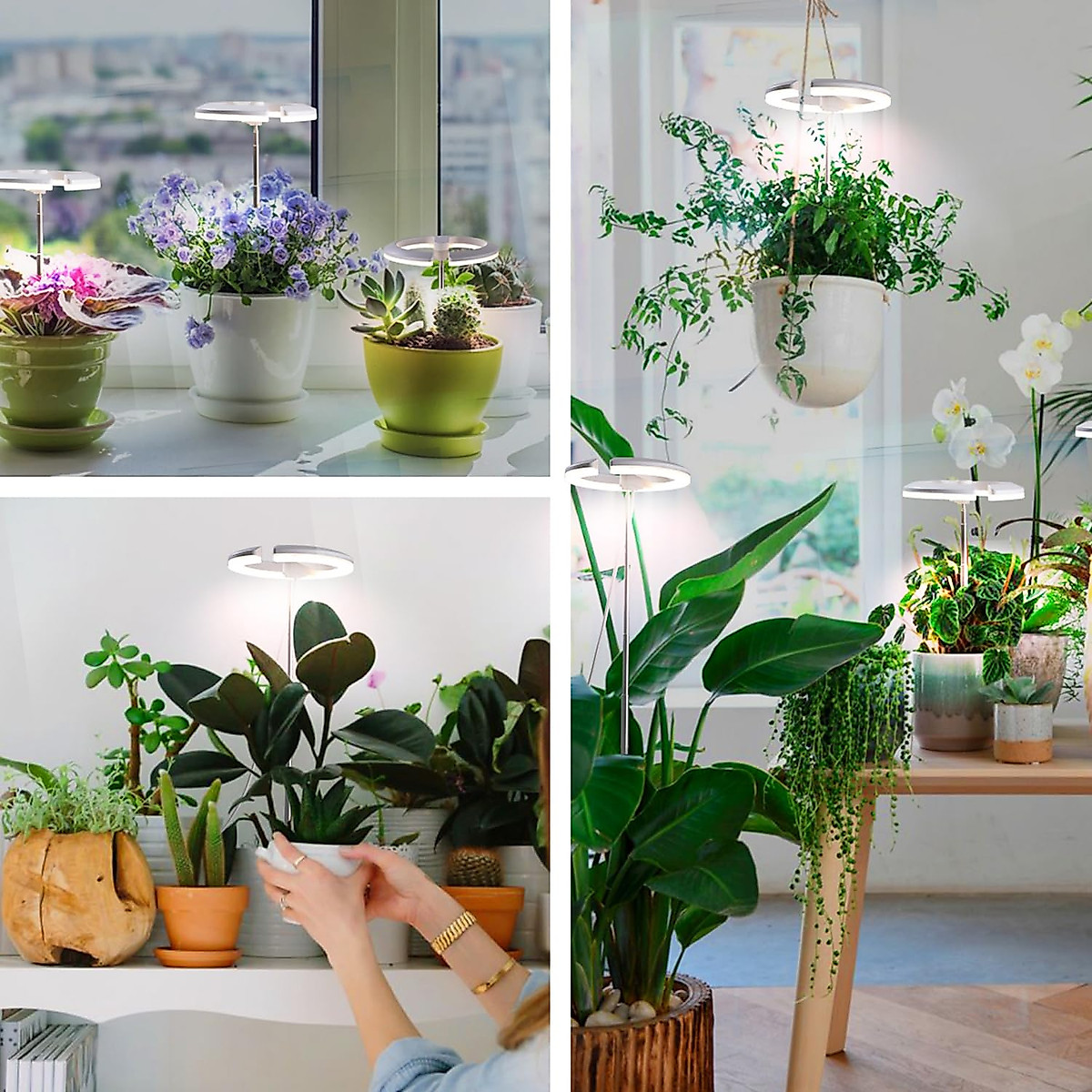 NOUKOW LED Plant Grow Lights for Orchid 10W Full Spectrum Plant Light with Auto ON & Off Timer 8/12/16H, 5 Dimmable Brightness, Height Adjustable Small Grow Lights for Indoor Plants