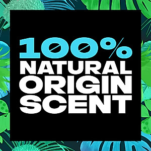 AXE Body Wash For Men Mediterranean Cool, Skin Care With 100% Natural Origin scent And Plant Based Ingredients 18 oz, 4 Count