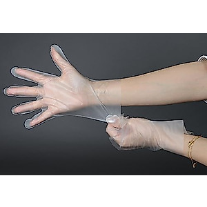 Daxwell Food Safe Stretch Poly Gloves (Small, 1,000 Count) Non-Latex, Disposable, Food Handling Use, Powder Free, F10000225,White