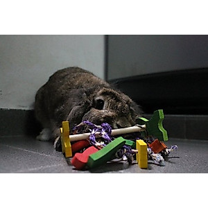 Crazy Jingle Tossing Rabbit Toy