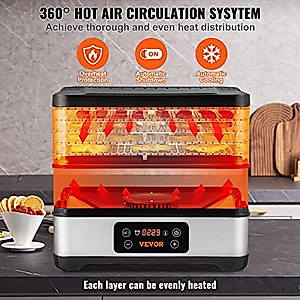 VEVOR Food Dehydrator Machine, 5-Tray Fruit Dehydrator, 300W Electric Food Dryer w/Digital Adjustable Timer & Temperature for Jerky, Herb, Meat, Beef, Fruit, Dog Treats and Vegetables, ETL Listed