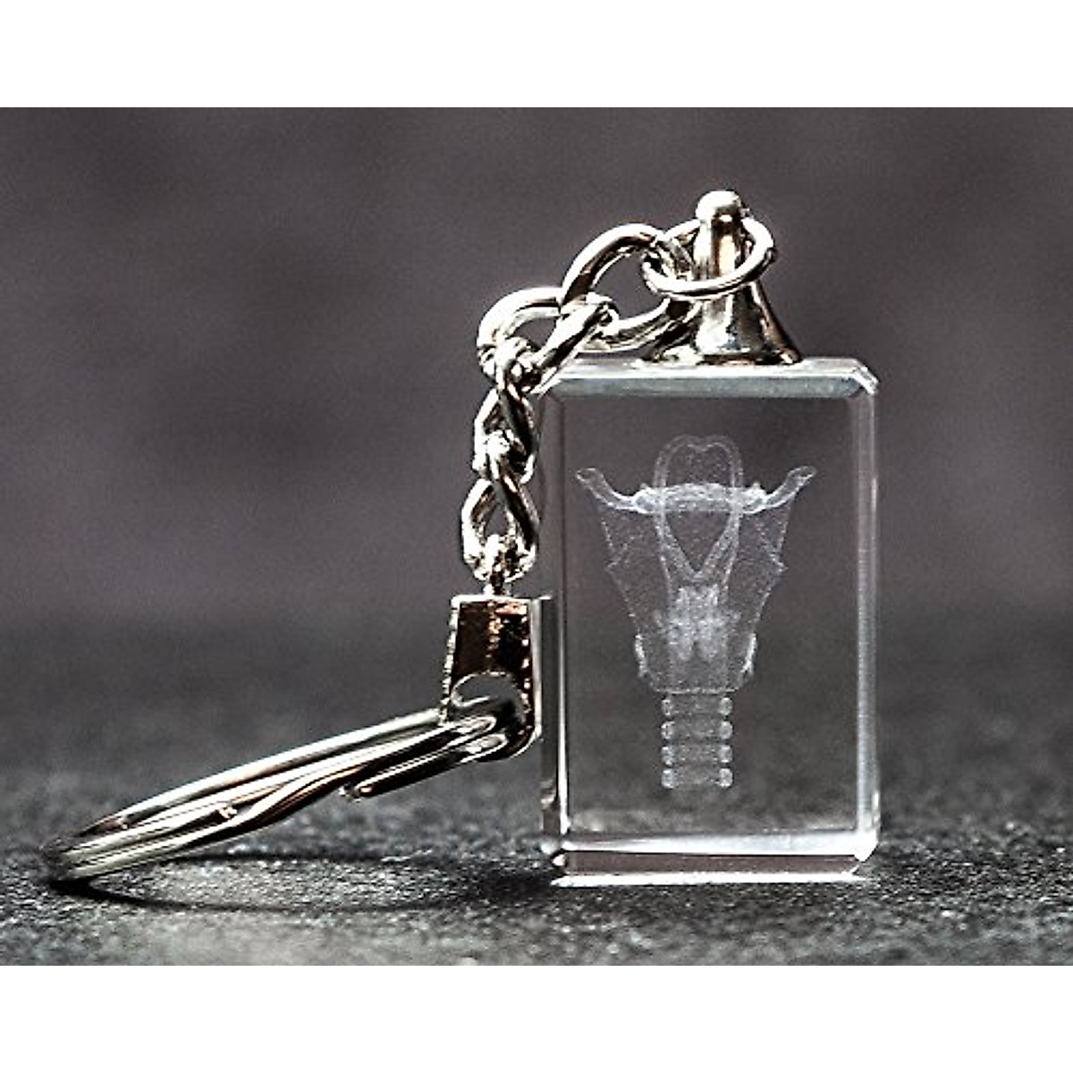 Larynx 3D Laser Crystal Key Chain, Anatomy, Voice Box, Singing, Adam's Apple