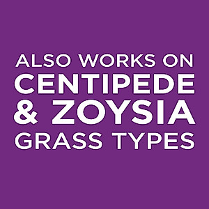 EZ Seed Patch For St. Augustine Grass, 3.75-Lb., Covers 85 Sq. Ft.