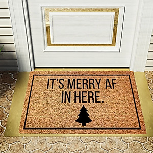 TUNKENCE Entrance Doormat Durable Front Welcome Mat Door Matts Outdoors Door Front Fluffy Carpet Bathroom Lobby Fluffy Floor Mat for Home Indoor Farmhouse Funny Kitchen Rugs Patio, 16x24Inch