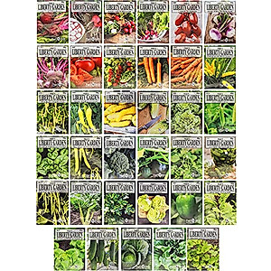 Set of 35 Premium Variety Herbs and Vegetables - Deluxe Garden Choices for Premium Gardening! (35 Liberty Garden Premium Vegetable)