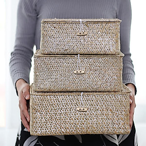 HAPYFURN Seagrass Handmade Woven Storage Basket with Lid Rectangular Natural Rattan Box for Toys Clothes Books Keys Multifunctional Makeup Organizer Set of 3 Shelf Basket