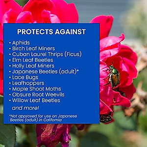 BioAdvanced All-In-One Rose and Flower Care I, Granules for Insects 4 lb