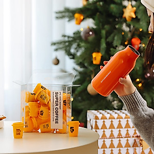 SATURNBIRD 15 oz Water Bottle Coffee Tumbler, Orange, Double-Wall Vacuum Insulated Stainless Steel Thermos, 360 Degree Leak Proof