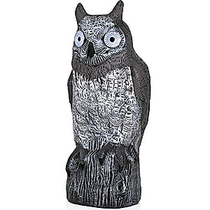 Galashield Owl Decoy | Plastic Owls to Scare Birds Away with Solar Powered LED Eyes | Owl Statue for Garden & Outdoors