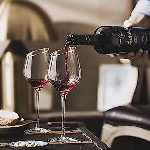 Gold Rimmed Wine Glasses Set of 2,No-Lead Crystal Long Stem Red Wine Glasses,Hand Blown Unique White Wine Glasses with Stem-for Burgundy,Cabernet,and Bordeaux, Christmas Gift,15 oz-Clear