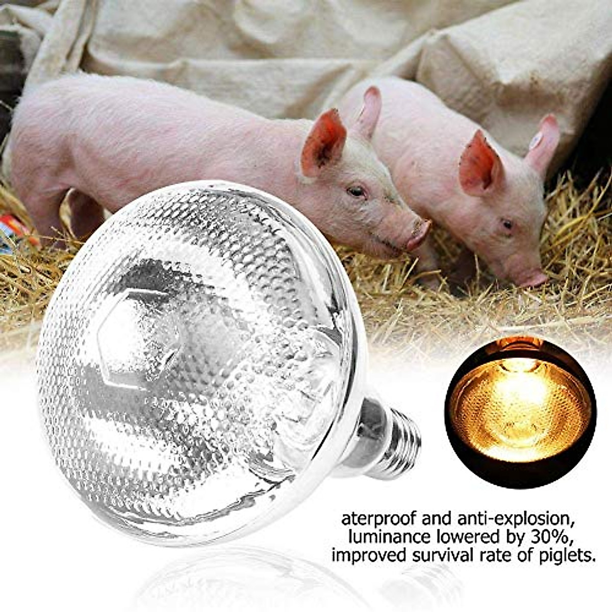 Eboxer Livestock Heat Lamp, 175W Sunlight Lamp Heating Light Bulb for Reptile Snake Piglet, etc (175W)