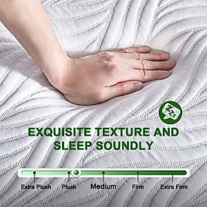 KNAMOTL 10 Inch Memory Foam Mattress, Green Tea Memory Foam Mattress, Gel Memory Foam Mattress, Fiberglass Free Mattress, CertiPUR-US Certified, Bed in a Box (Twin)