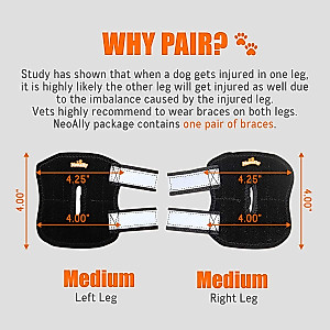 NeoAlly® - Rear Leg Hock Brace with Metal Spring Strips, Dog Leg Brace for Rear Leg, Hock and Ankle Support, Rear Dog Leg Brace for Smaller Dogs, Short Version, Medium, 1 Pair