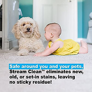 Urine Gone Stream Clean, Heavy Duty Carpet Stain & Odor Eliminator Deep Cleans with Fast Acting Natural Enzymes + Probiotics Eliminating Stains and Odor Permanently, No Scrubbing, 18 oz. (1pack)