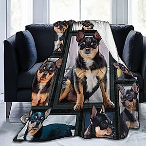 Cute Chihuahua Dog Black Lovely Puppy Printed Ultra-Soft Throw Blanket Home Decorative Blanket for Living Room Bed Sofa