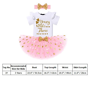Toddler Baby Girls 1st/2nd/3rd Birthday Outfit Princess Sweet Sassy Crown Headband Tutu Skirt Set Cake Smash Baptism Christening Formal Suit Clothes Set for Photo Shoot Pink-young wild three 3T