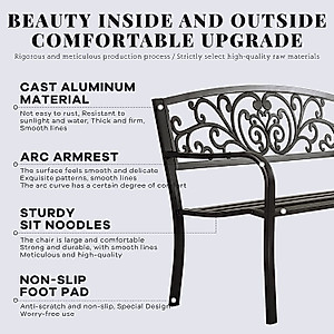 BestMassage with Steel Frame Cast Iron for Backyard Porch Entryway Outdoor Park Yard,Black