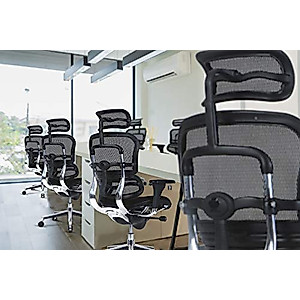 Eurotech Seating Ergohuman High Back Mesh Managers Chair, Black