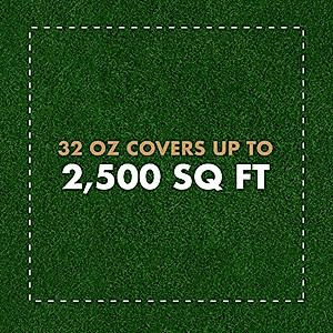 Spectracide Immunox Fungus Plus Insect Control for Lawns, 32 fl oz, Pack of 6