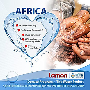 Lamon R1PRO-PPC Filter Replacement, Replacement for R1PRO Reverse Osmosis System, 12m Lifetime