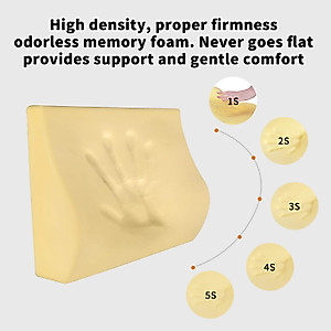 TISHIJIE Memory Foam Lumbar Support Pillow for Car - Mid/Lower Back Support Cushion for Car Seat (Black)