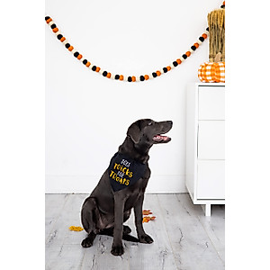 Pearhead Trick or Treat Bandana, Fall Holiday Dog Apparel, Halloween Dog Costume, Dog Slip On Collar Accessories, Small/Medium, S/M