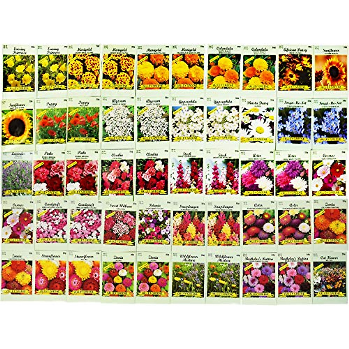 Set of 50 Assorted Flower Seed Packets! Flower Seeds in Bulk - 10+ Varieties Available!